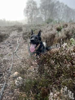 Leaderboard | Win Epic Prizes | DAYMADE